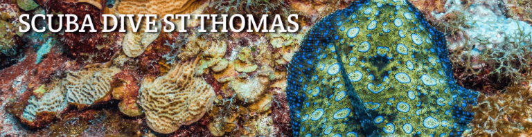Let’s Dive St Thomas